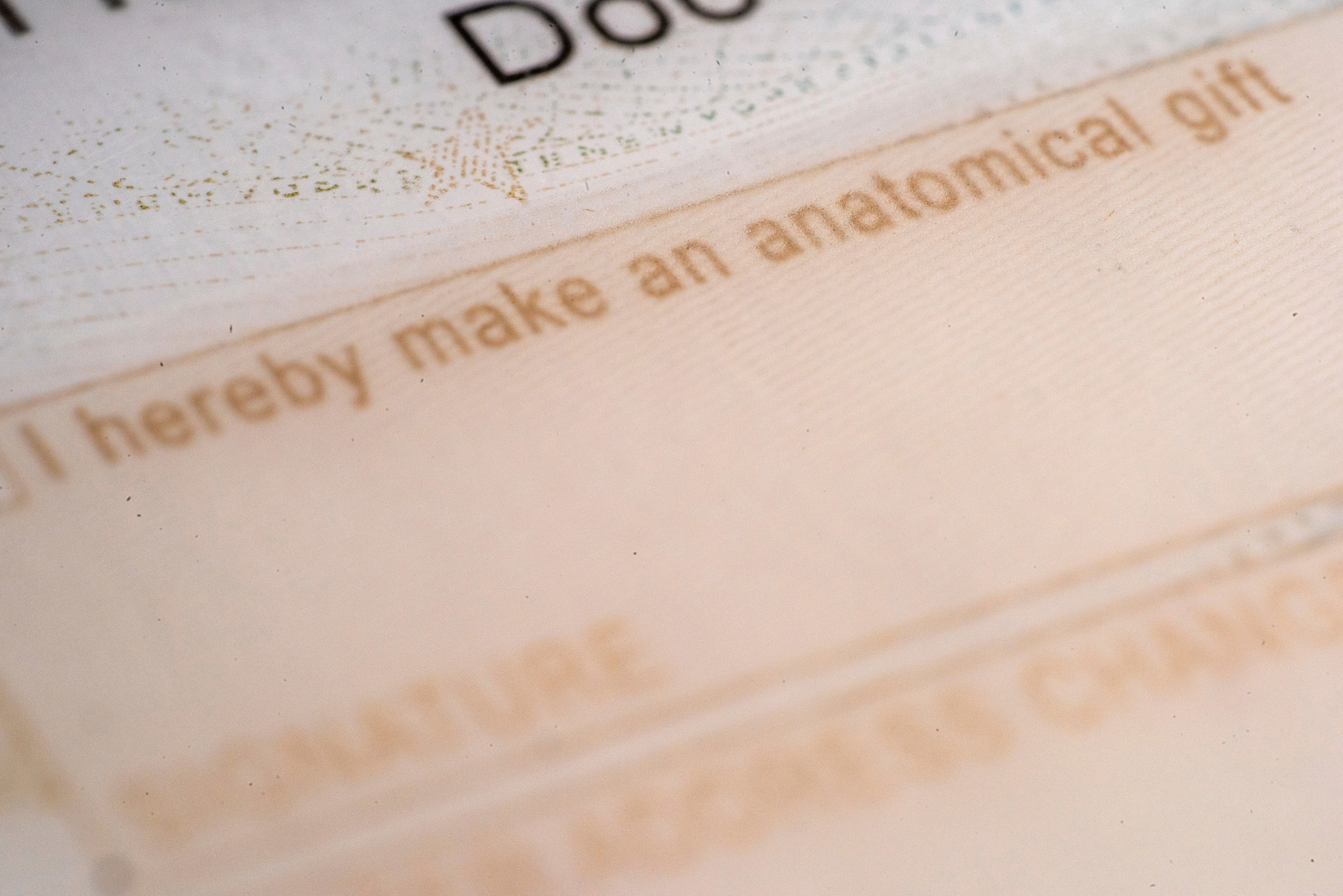 Public mistrust linked to drop in deceased donor organ donations and ...