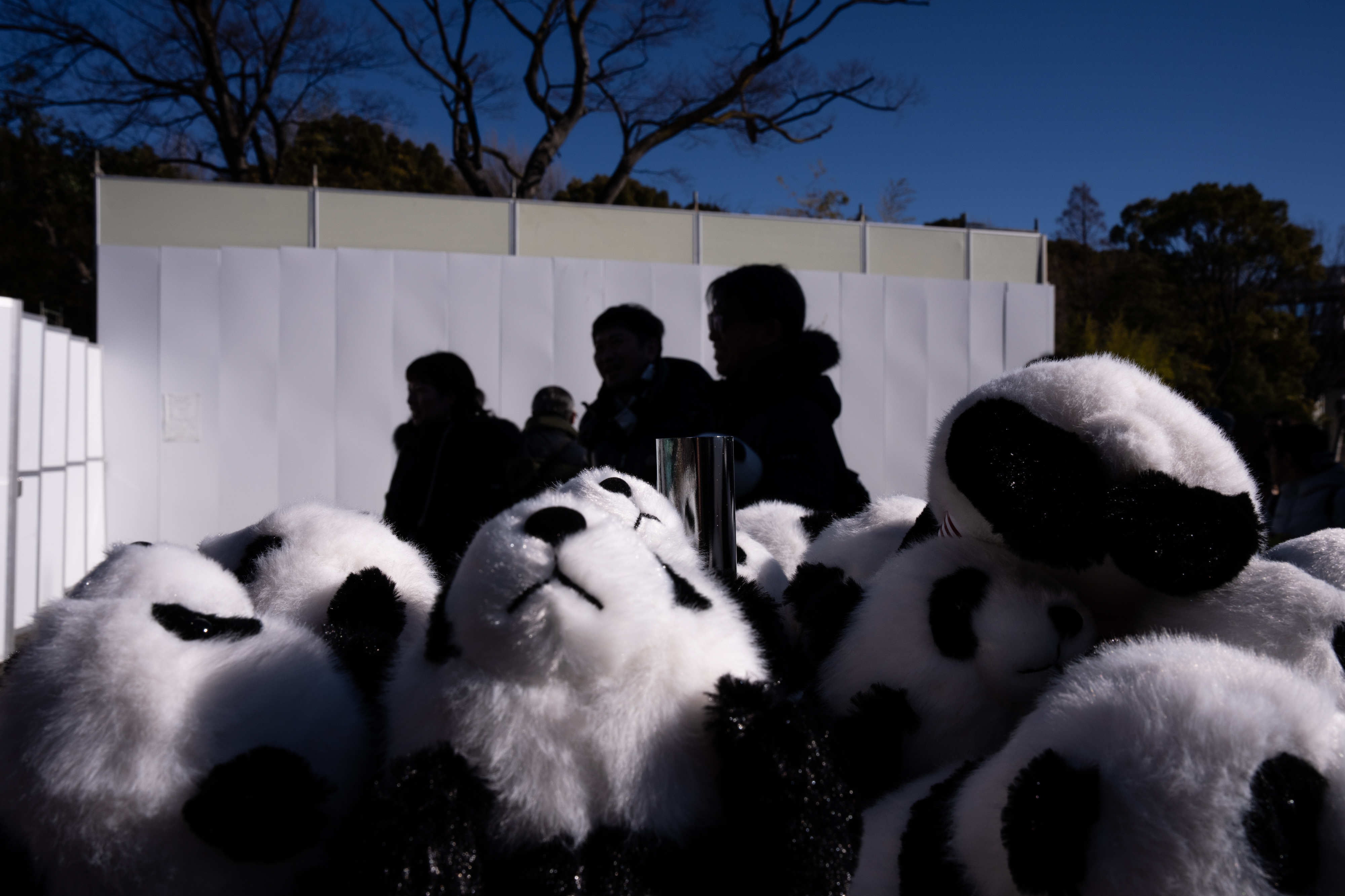 Photos shows Japan's love of pandas as twins Xiao Xiao and Lei Lei ...