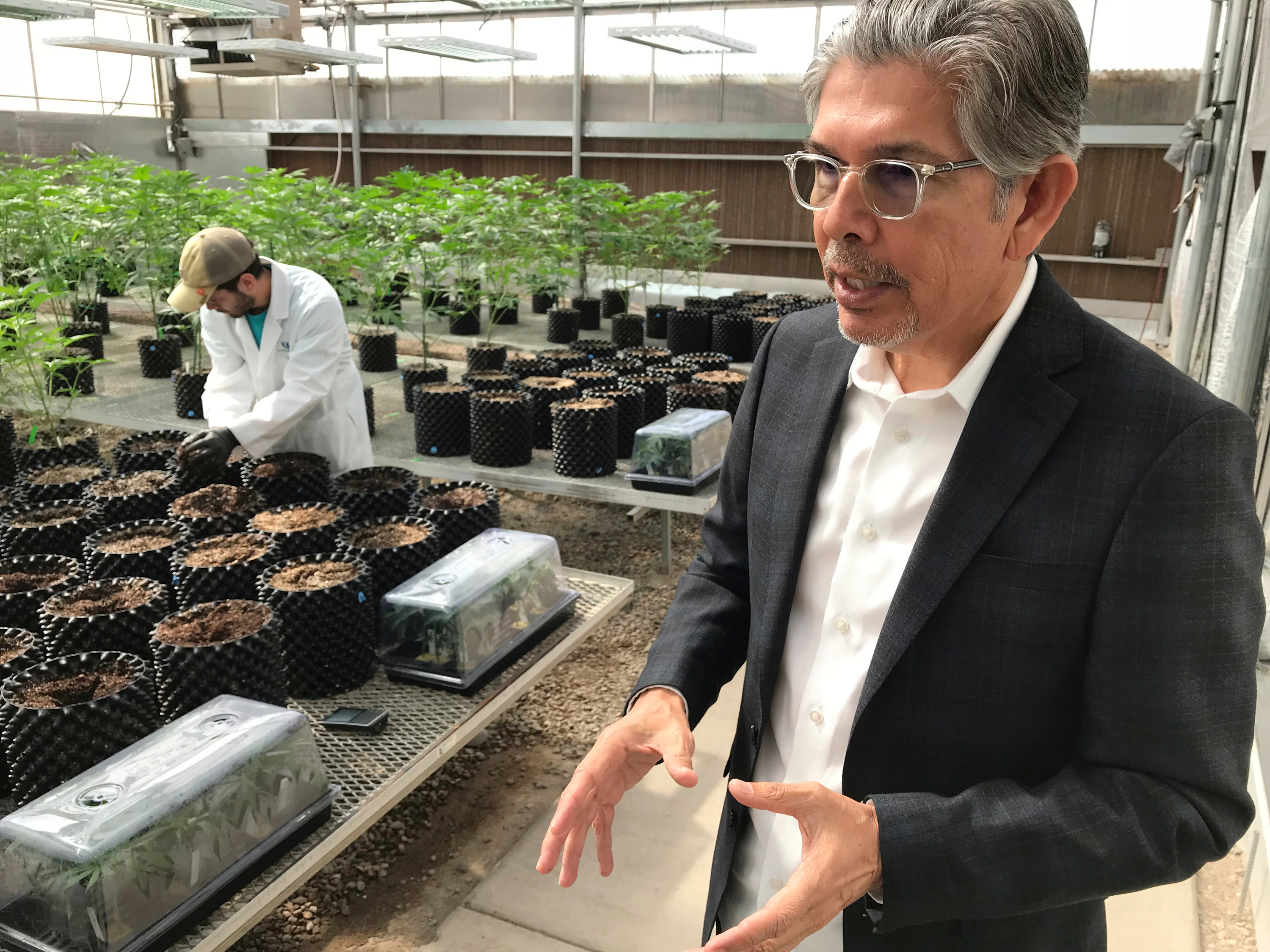 Cannabis entrepreneur Duke Rodriguez joins the race for New Mexico ...