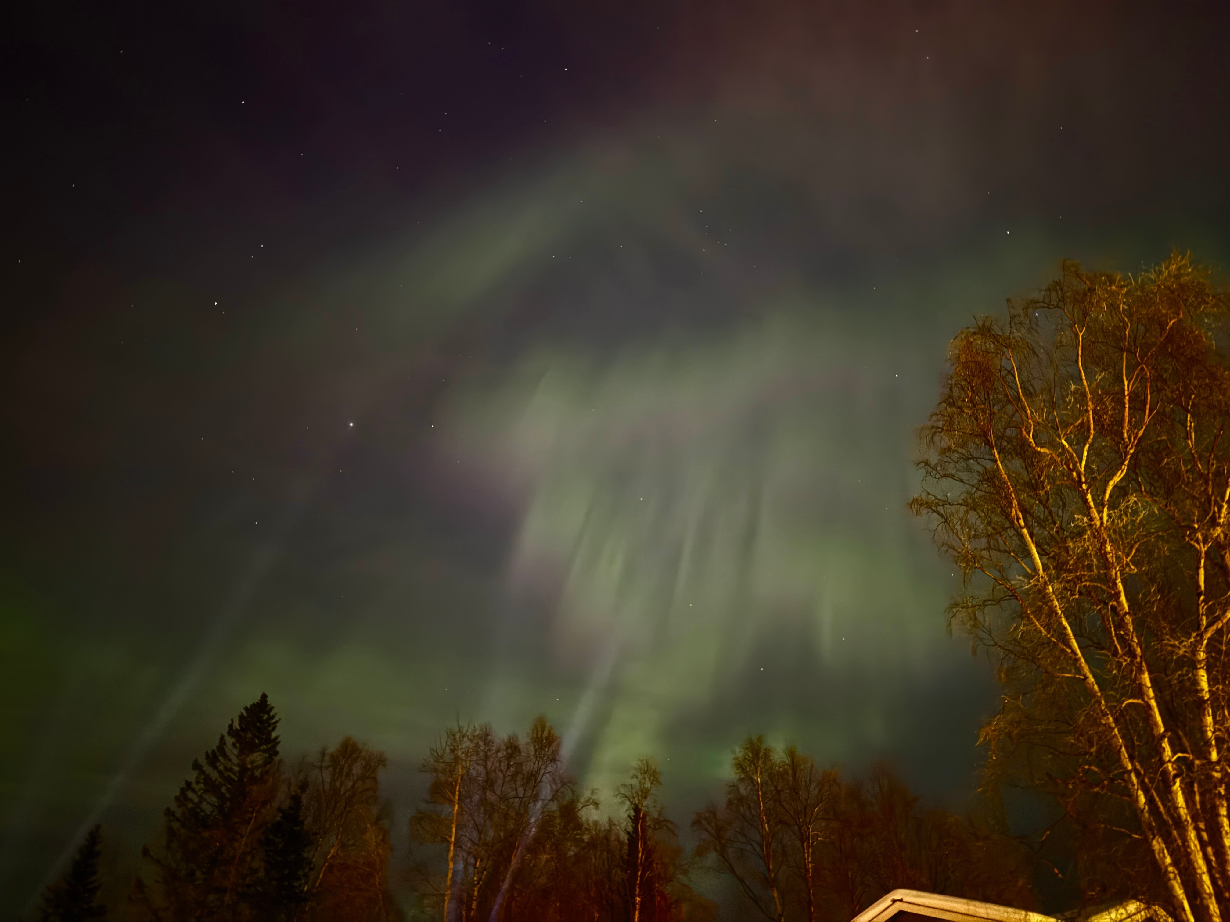 Aurora lights up Alaska skies with stunning green and red display ...