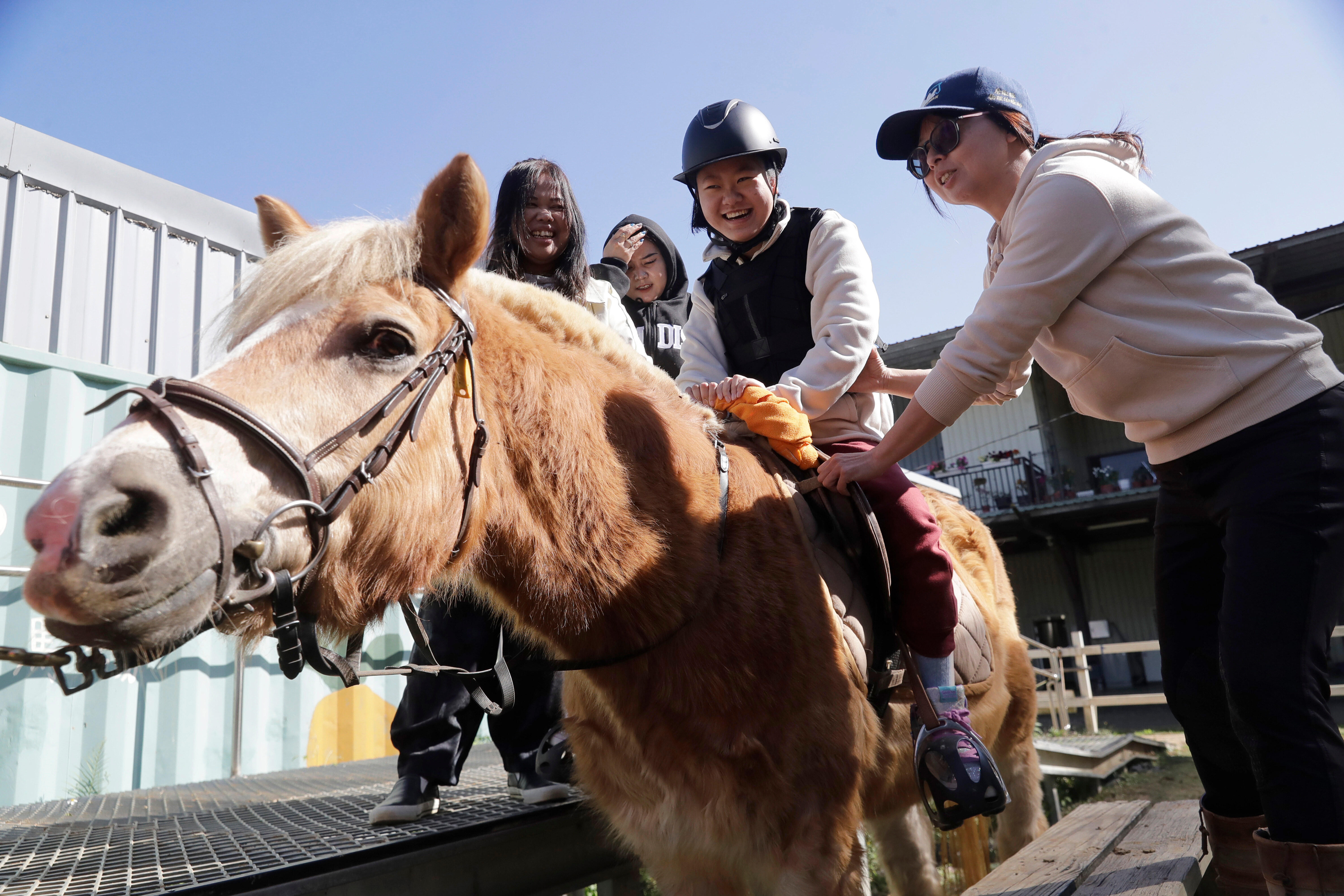 Children with disabilities find joy and support through horse therapy ...