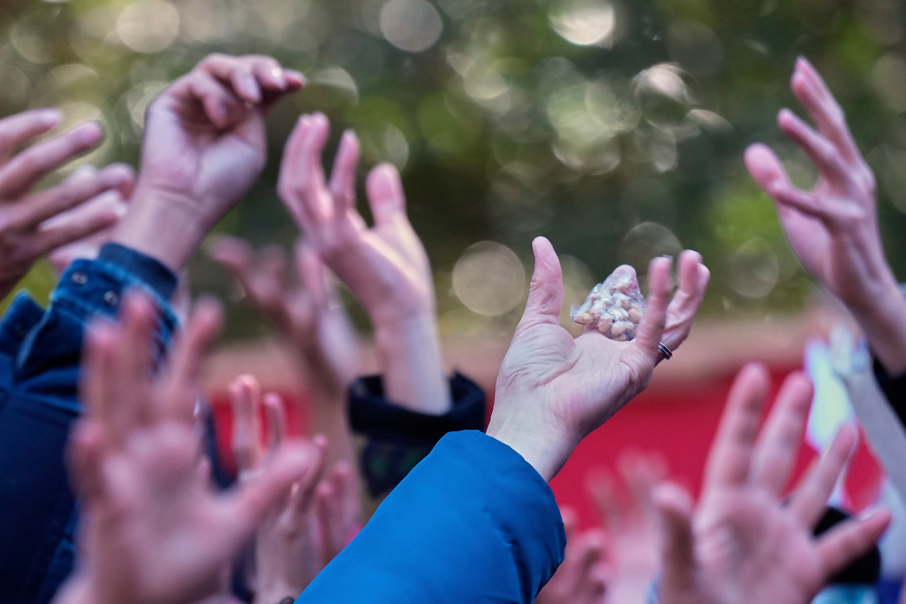 Photos of Hakone Shrine marking Setsubun with bean-throwing to ward off ...