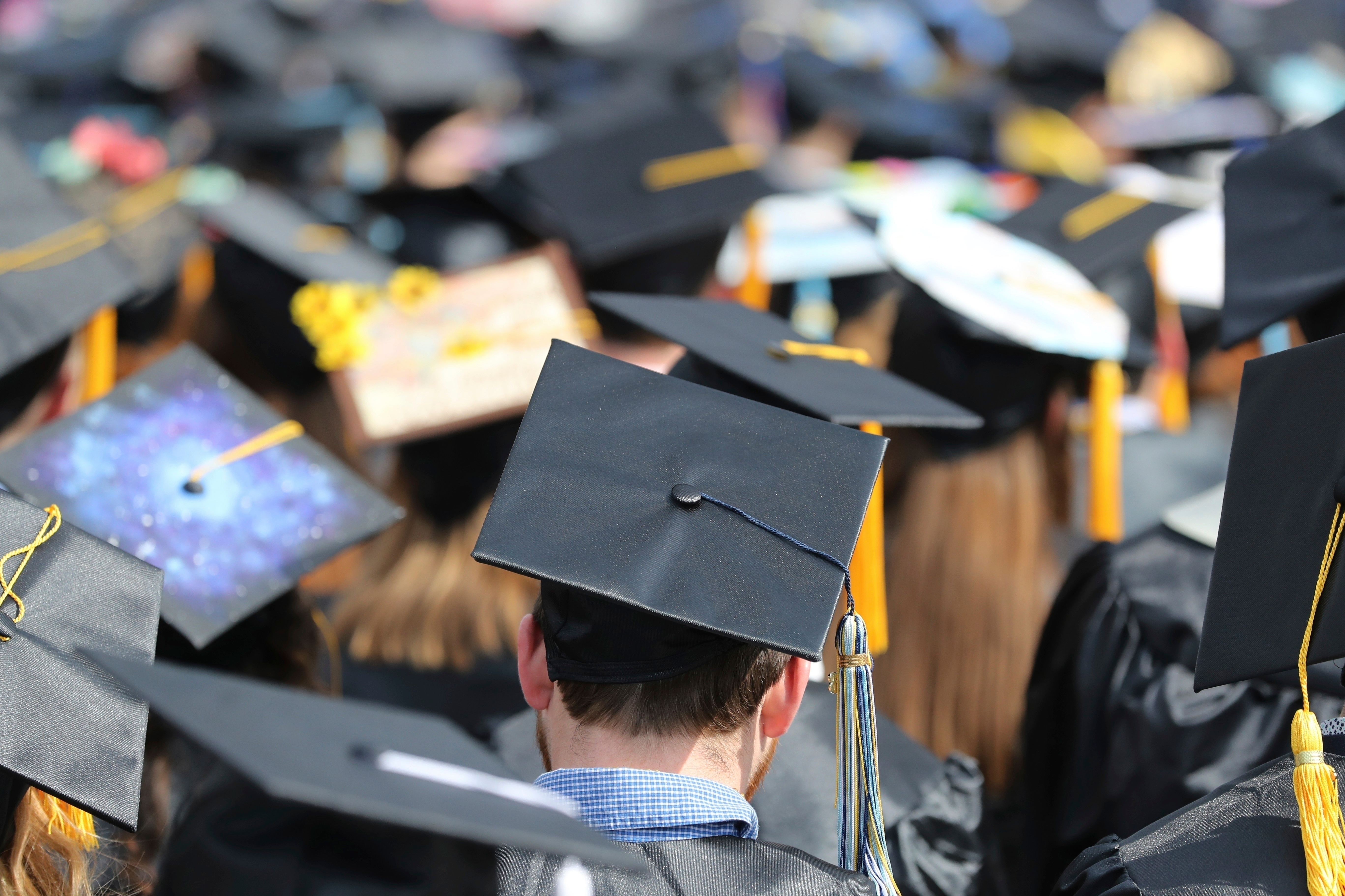 What to know about student loan repayment plans and collections | king5.com