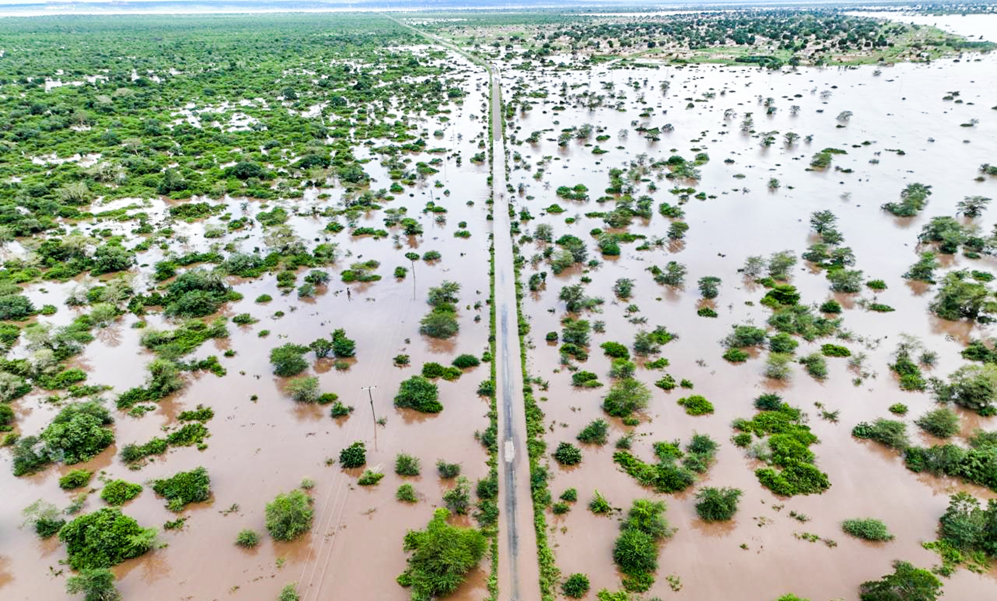 Floods push crocodiles into Mozambican towns as health concerns rise ...